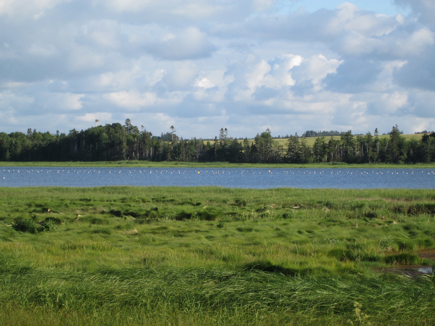 Pedaling PEI: Hillsborough River