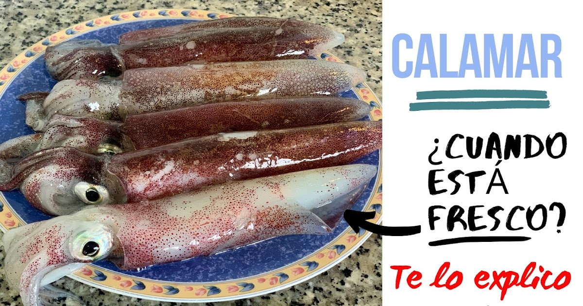 ¿Cuándo un calamar está fresco? - Recetas Fácil con Bela