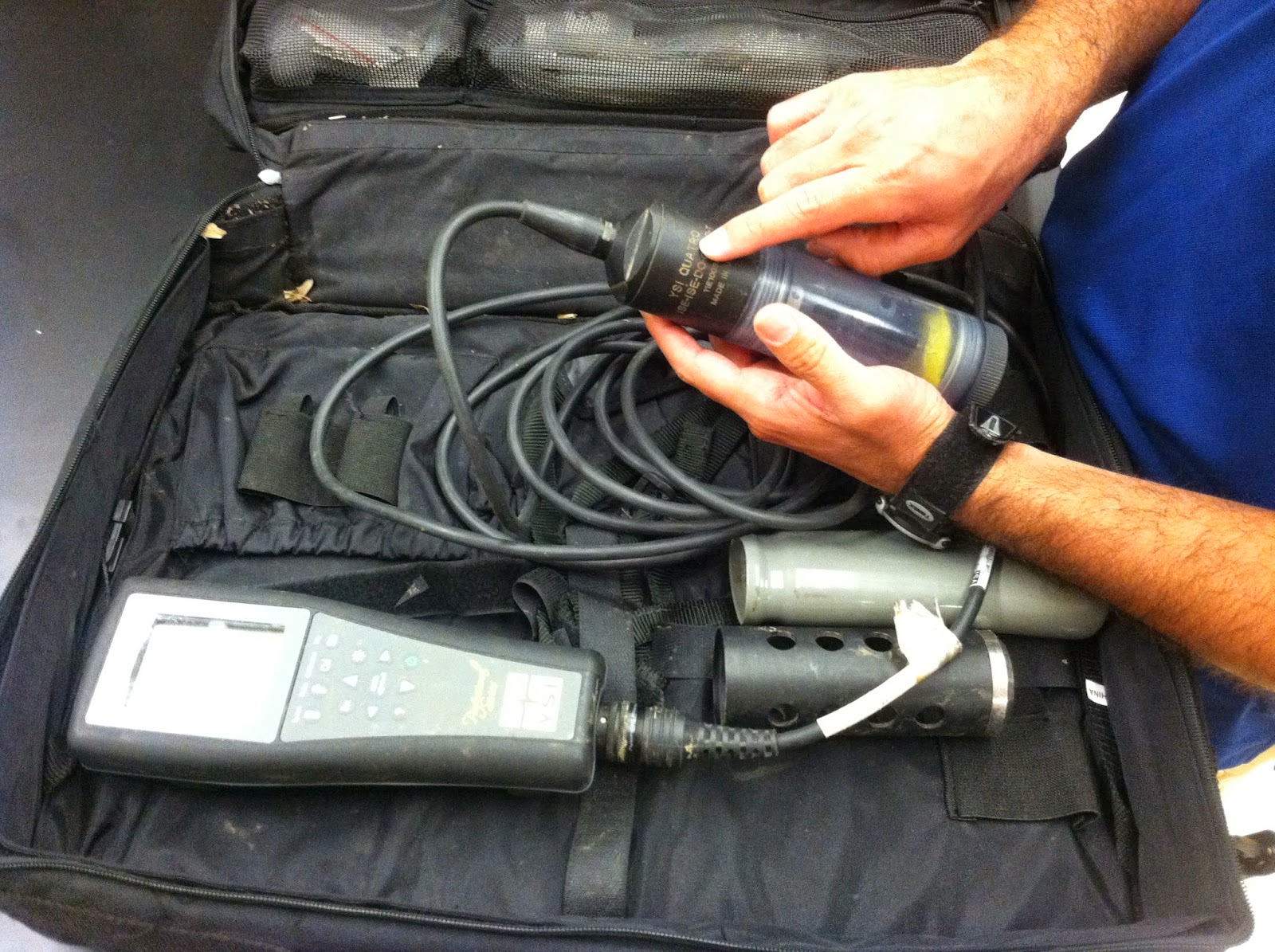 Black Creek Scout Reservation - Conservation & Citizen Science ...