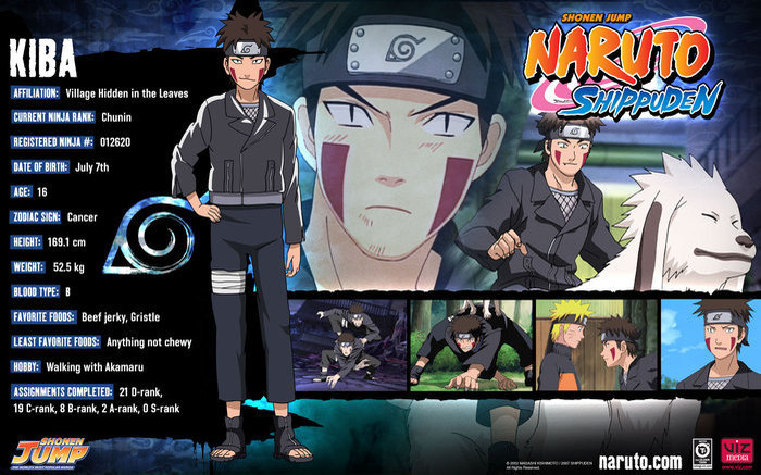 Naruto The Best Anime: Naruto Shippuden Info Card