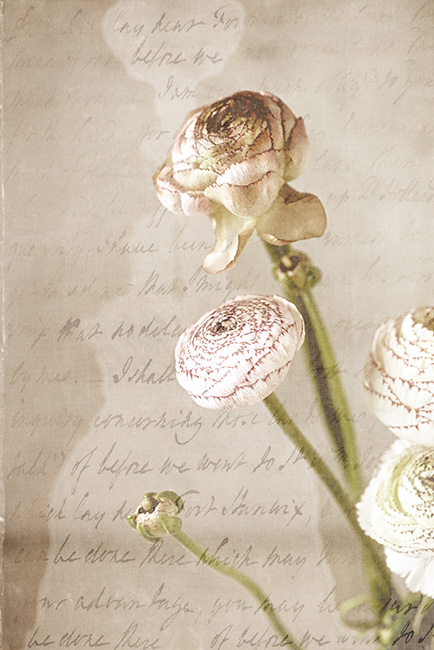 The CoffeeShop Blog: CoffeeShop "Schuyler" Vintage Letter Texture ...