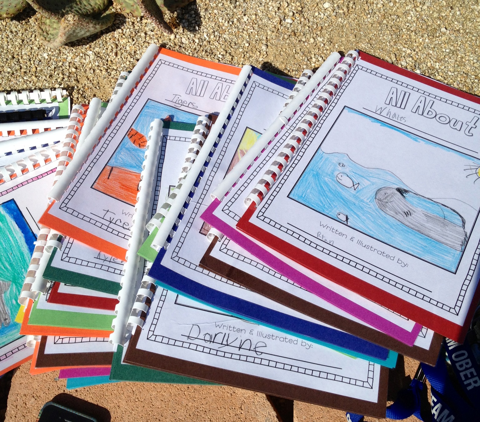 Author Celebration & The End of Reading Week - Susan Jones Teaching