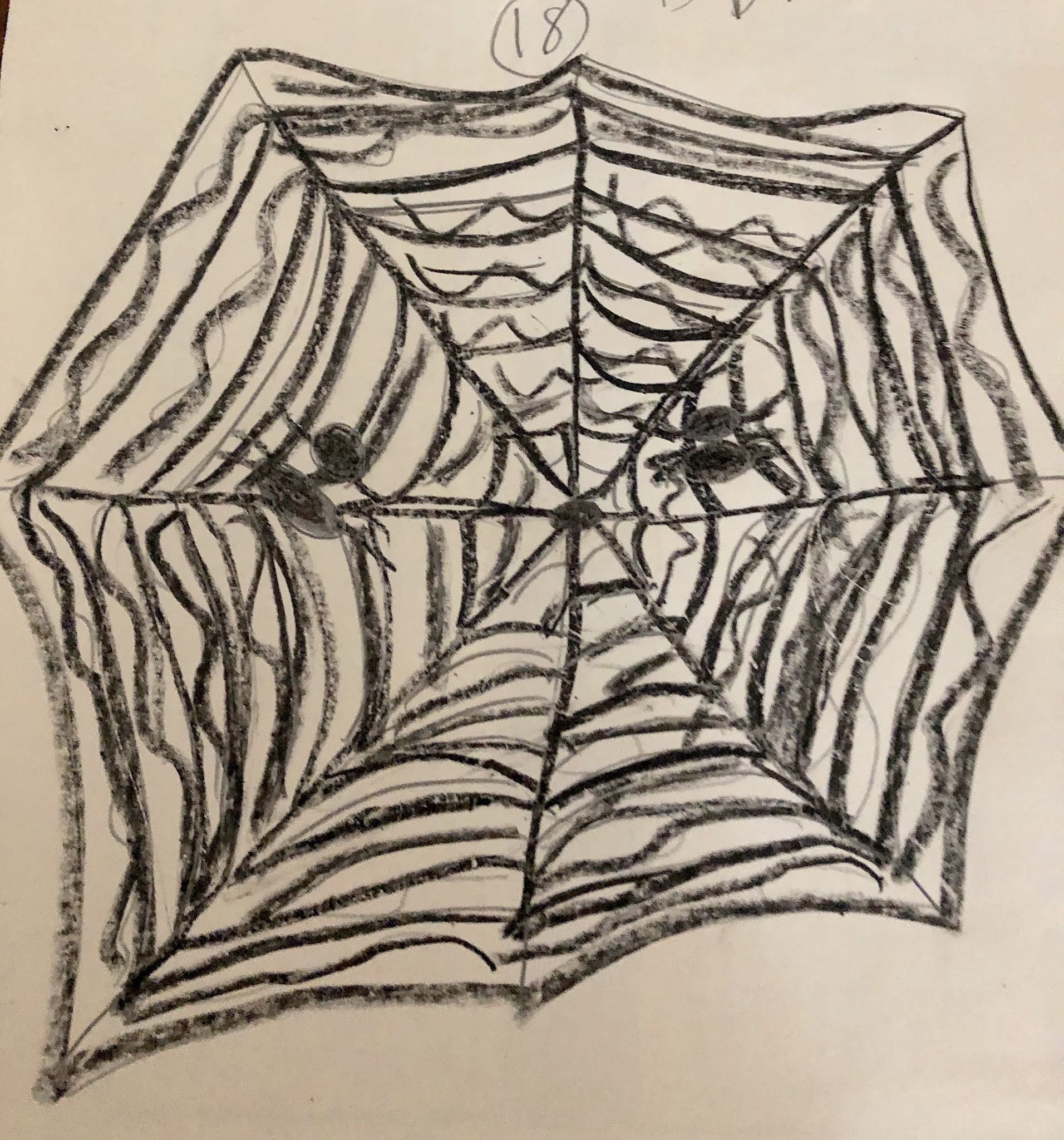 Student Art Gallery: Gr. 3 & 4 Zentangle Spider Webs 2020-21