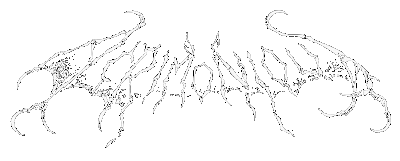 Paraphernalia: acrimonious