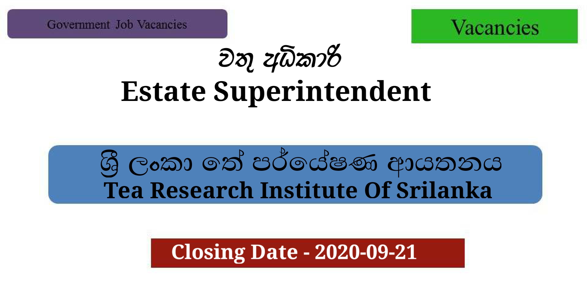 Estate Superintendent - Tea Research Institute Of Srilanka - SLDailyPlus