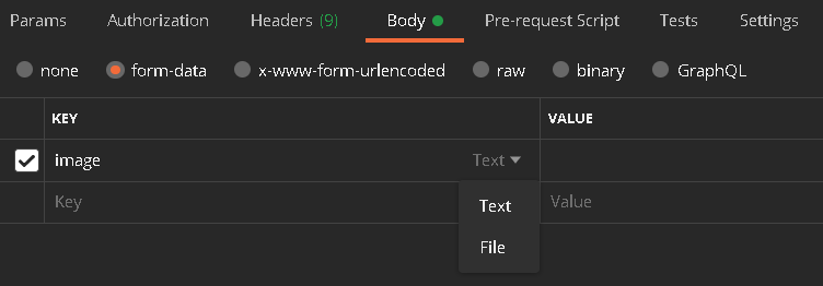 Share Images the Easy Way: Postman and Laravel