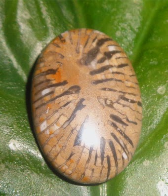 Mustika Merah Delima: MUSTIKA KELABANG SEWU