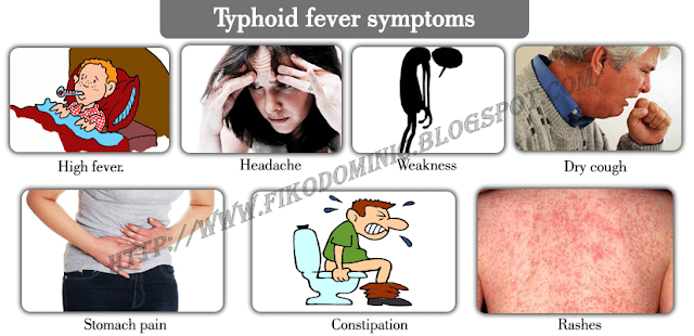 Gejala Tipes Pada Orang Dewasa dan Obat Alami Tipes - Jelly Gamat QNC