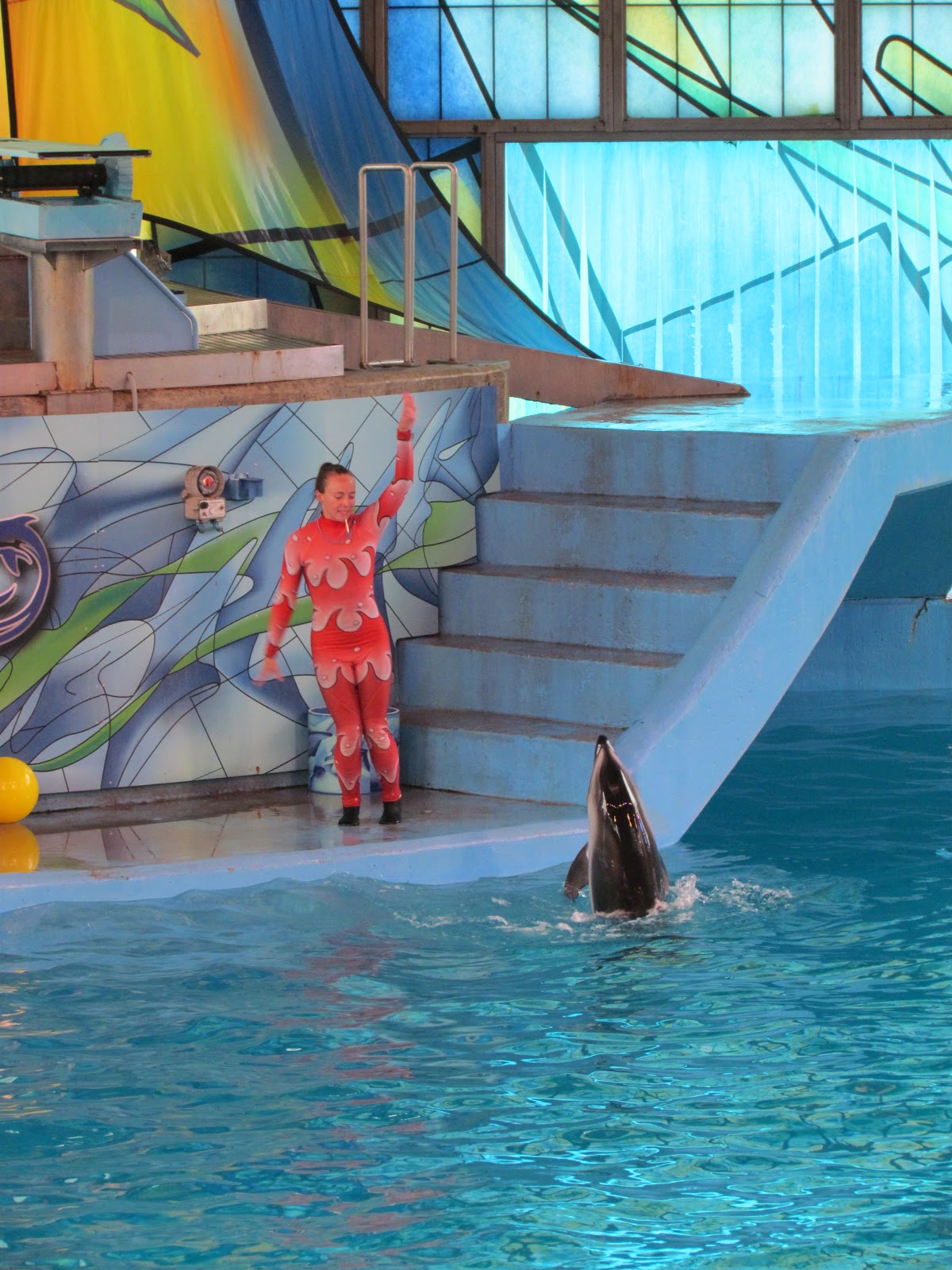 The Nelsons: Sea World - Azul