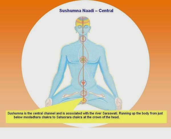 SATYANANDA YOGA BRASIL: Setembro 2014