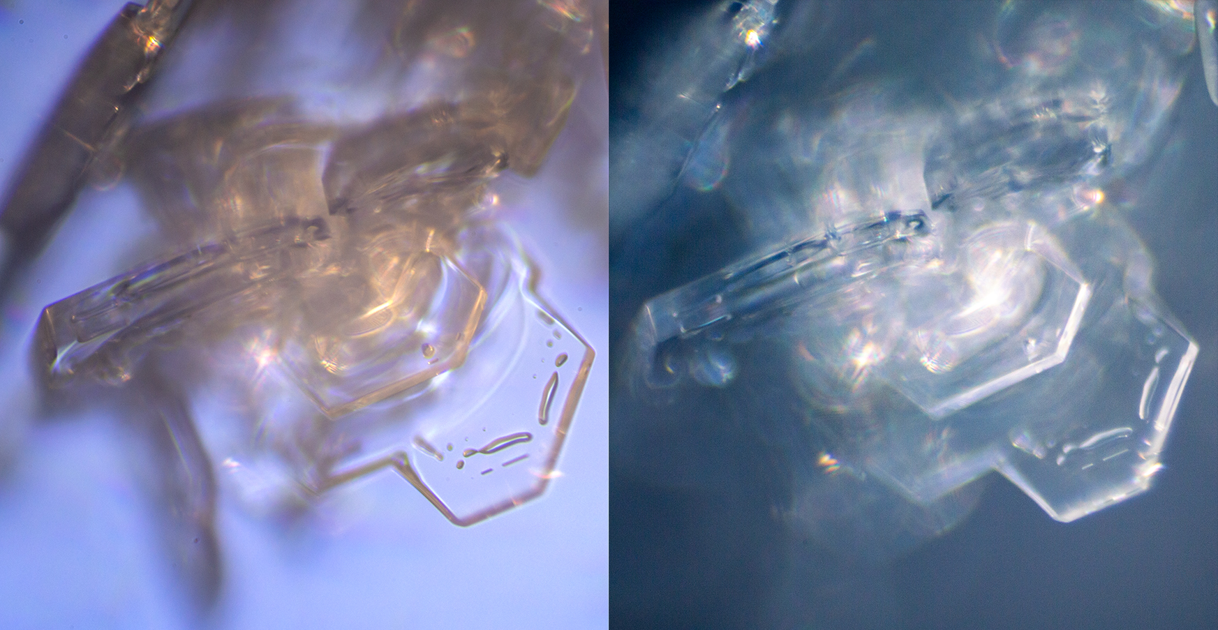 The Halo Vault: A 46° halo dominated surface display – crystal photos ...