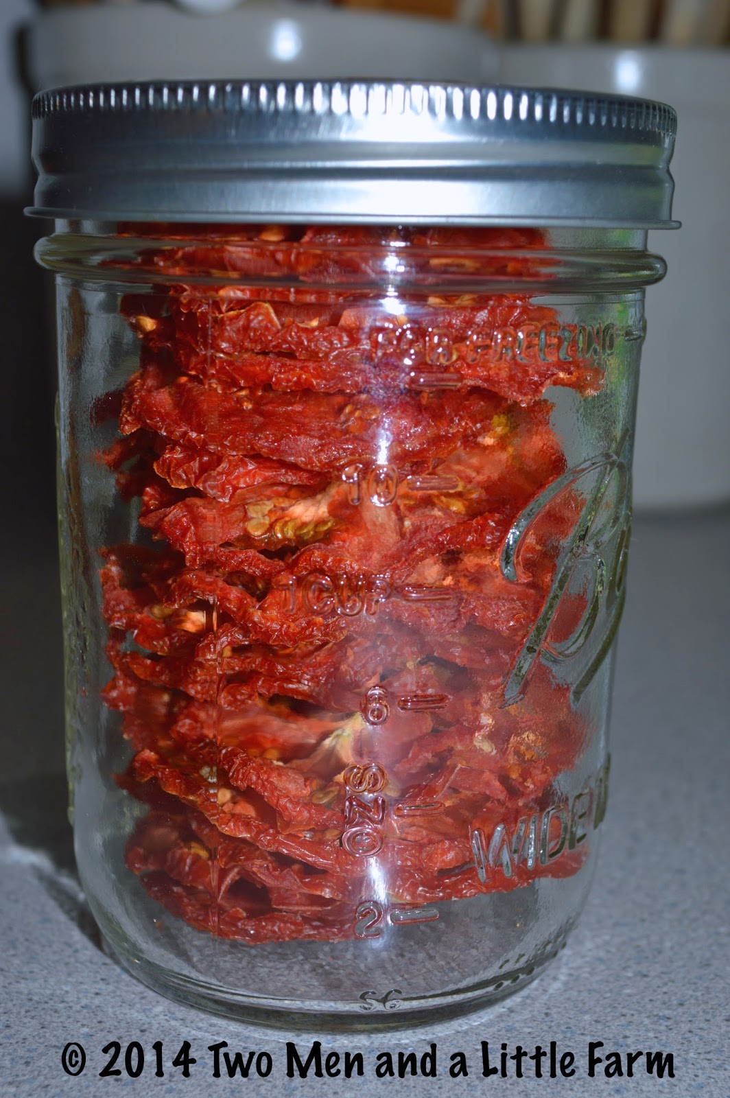 Two Men and a Little Farm: DRYING TOMATOES IN THE DEHYDRATOR