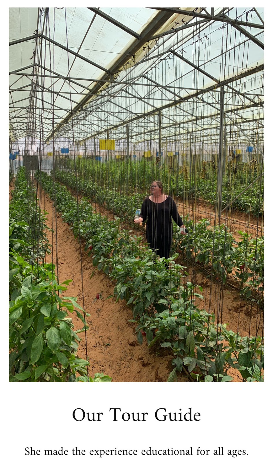 Emirates Bio Farm Experience