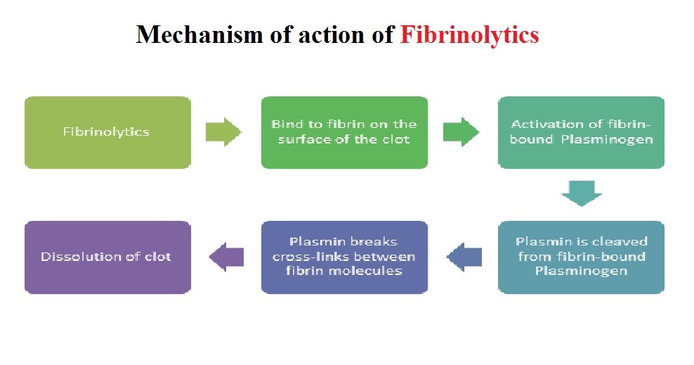Drug Interactions Simplified: Clinically Important Drug Interactions of ...