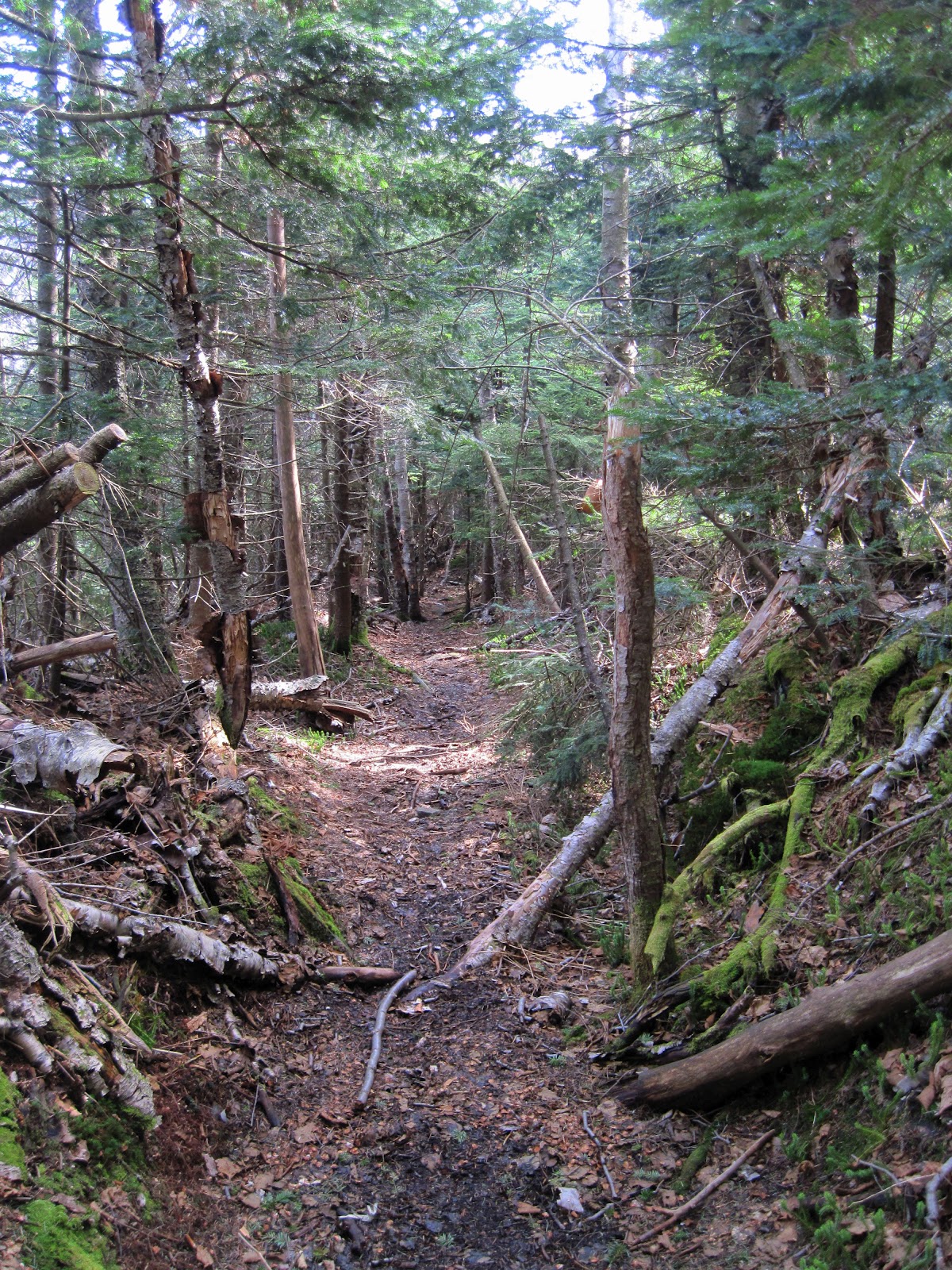 ScAtTeRbOnE's ADVENTURE'S: 3 CATSKILL 35 HIGH PEAKS! (The "Catskill ...