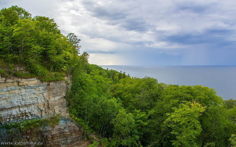Katariina kudugurmee: Ontika pankrannik.