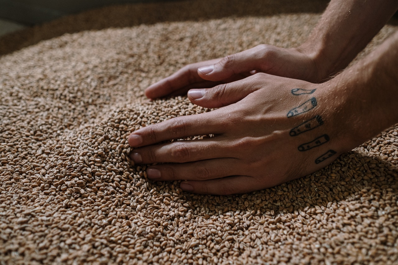 New Business Idea Starting AN ANIMAL FEED Company Production And new-business-idea-starting-an-animal-feed-company-production-and