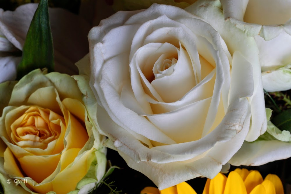 Glastra cu flori: Alb și galben