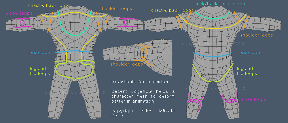 Mark Howlings - Character Design and Animation: Edge loop/Edge flow