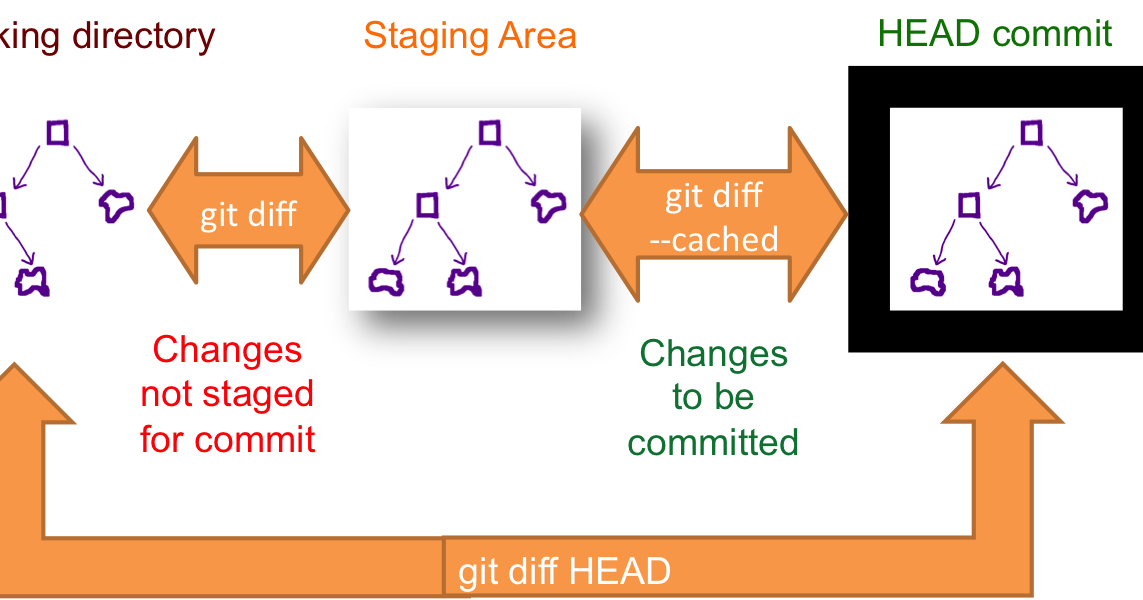 Discuss the use of staging area and Git directory