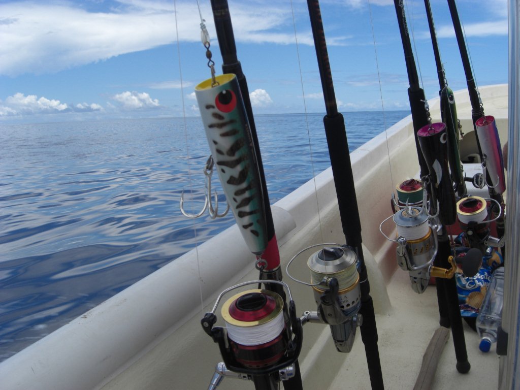 GT Popping: Late March GT Popping Report