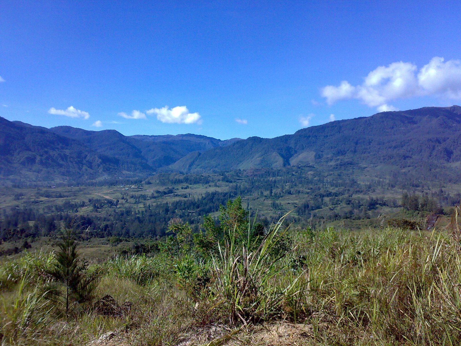 Alam Ilaga Puncak Papua