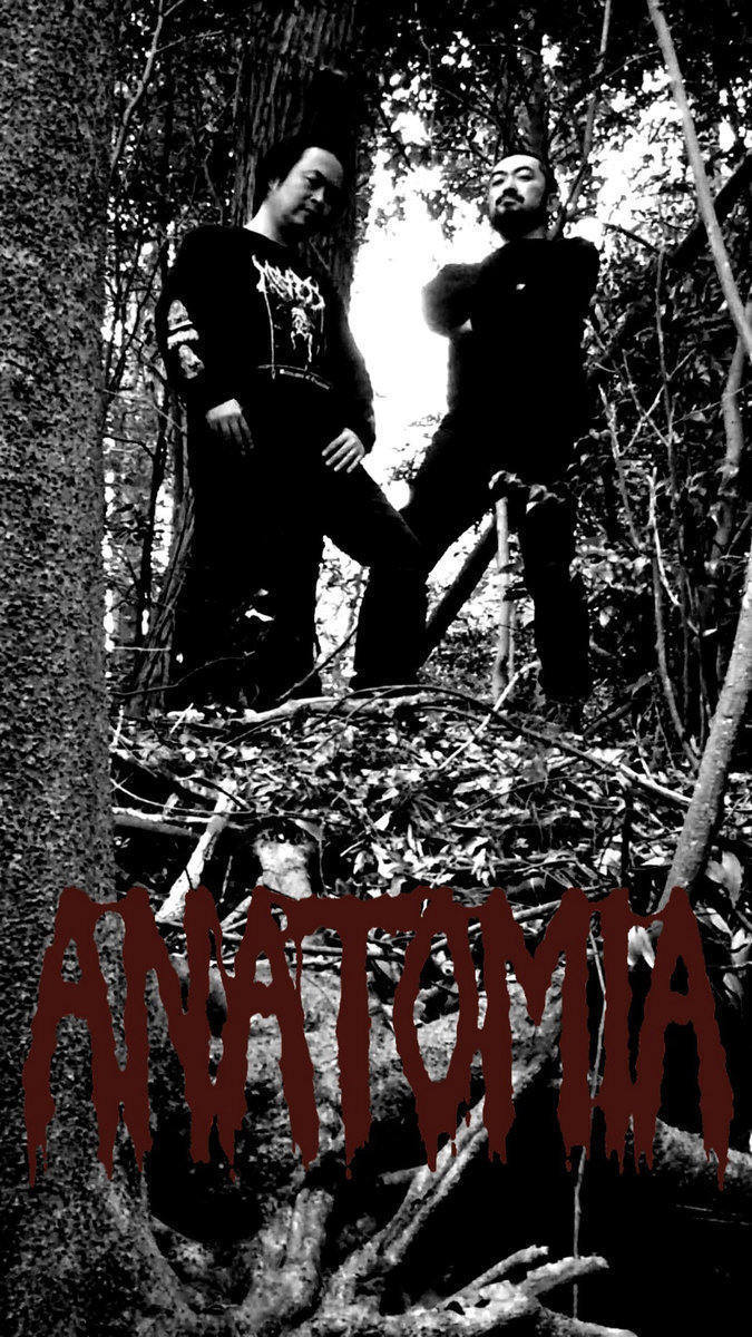 Divulgado detalhes do novo álbum da banda ANATOMIA