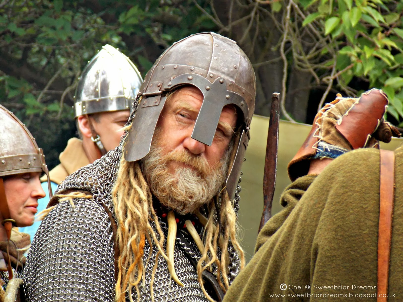 Sweetbriar Dreams: Wordless Wednesday - Vikings