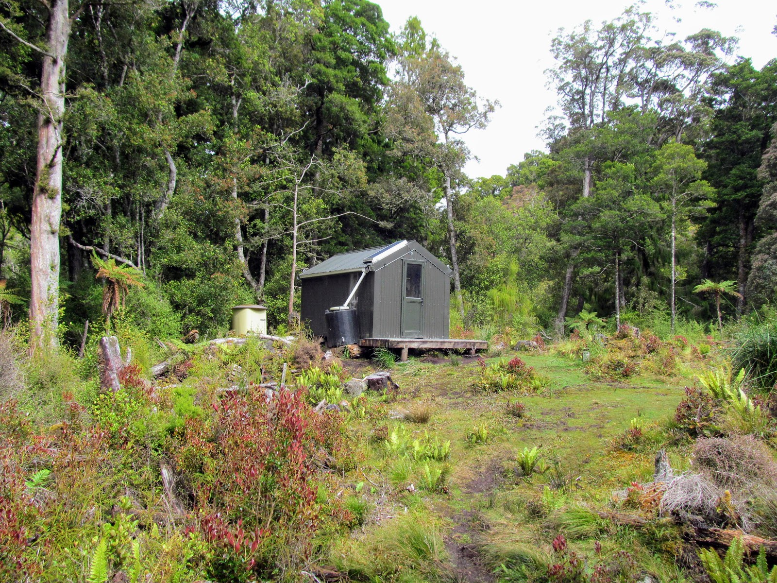 Tramping in the New Zealand backcountry: NZ Bush Adventures: Historic ...
