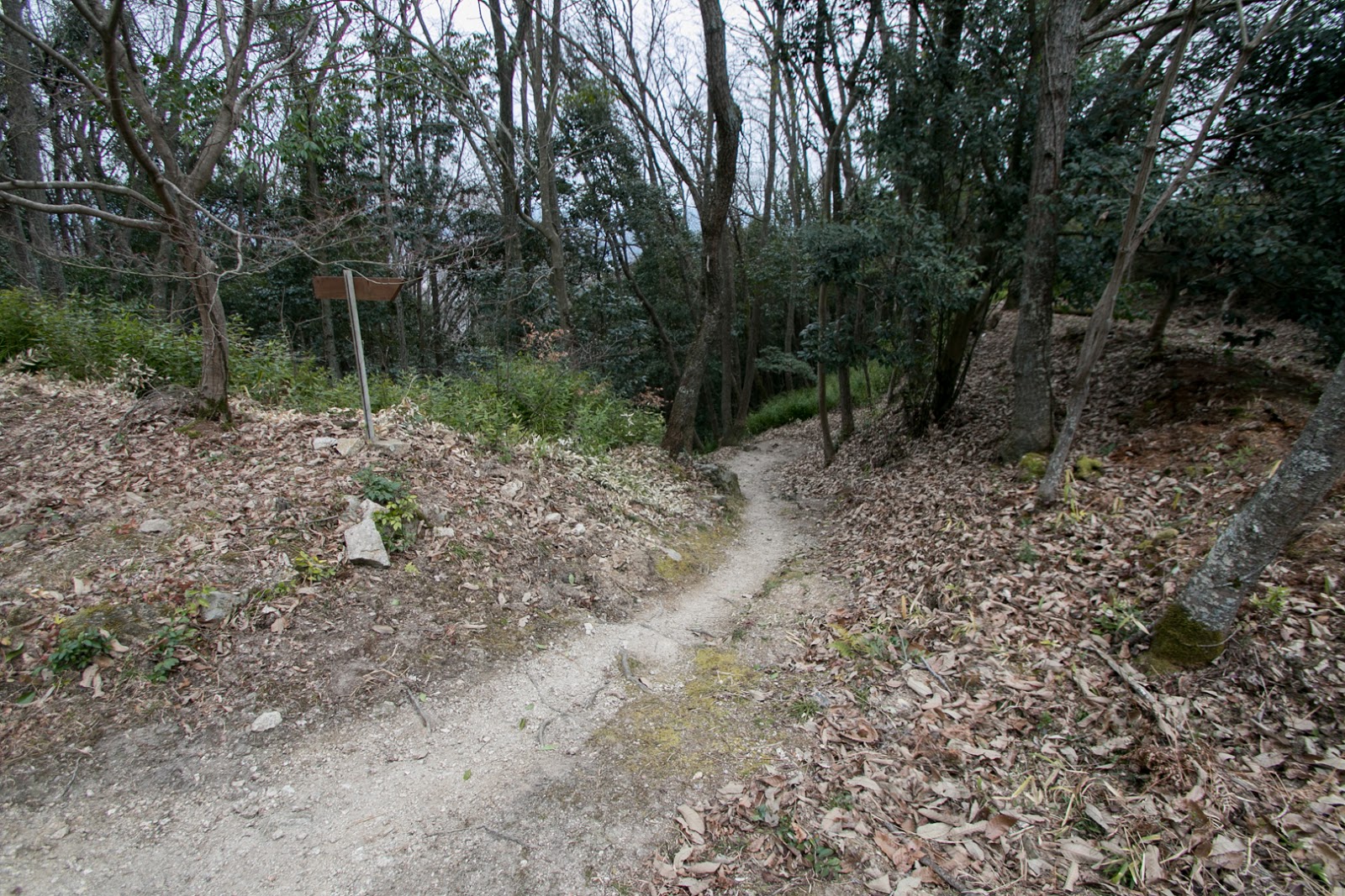 Niitakayama Castle -Intellectual pillar of Mouri clan (2)- | Japan ...