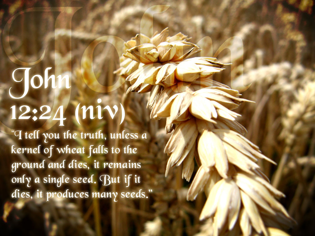 THE REVELATION OF JESUS CHRIST: THE SEED THAT DIED