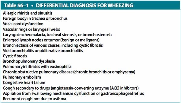Wheezing and Asthma Case File
