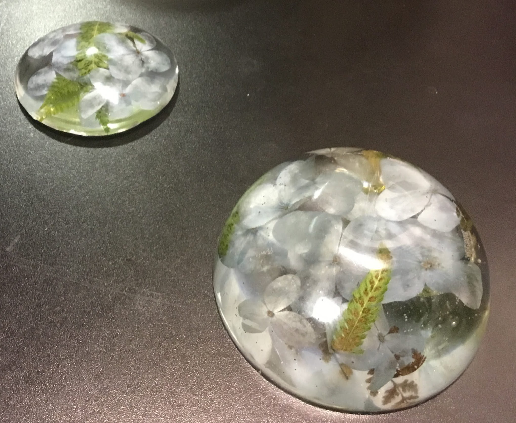 Biology by the Math Mom: Resin Cells: Adding the “A” in STEAM