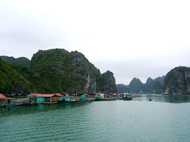 Cat Ba Island and Cat Ba Langur Amazing Island in Vietnam ~ Asia Tour ...