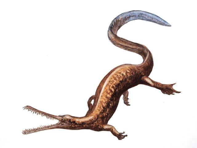 Blog de la Vida Prehistórica: Mesosaurus