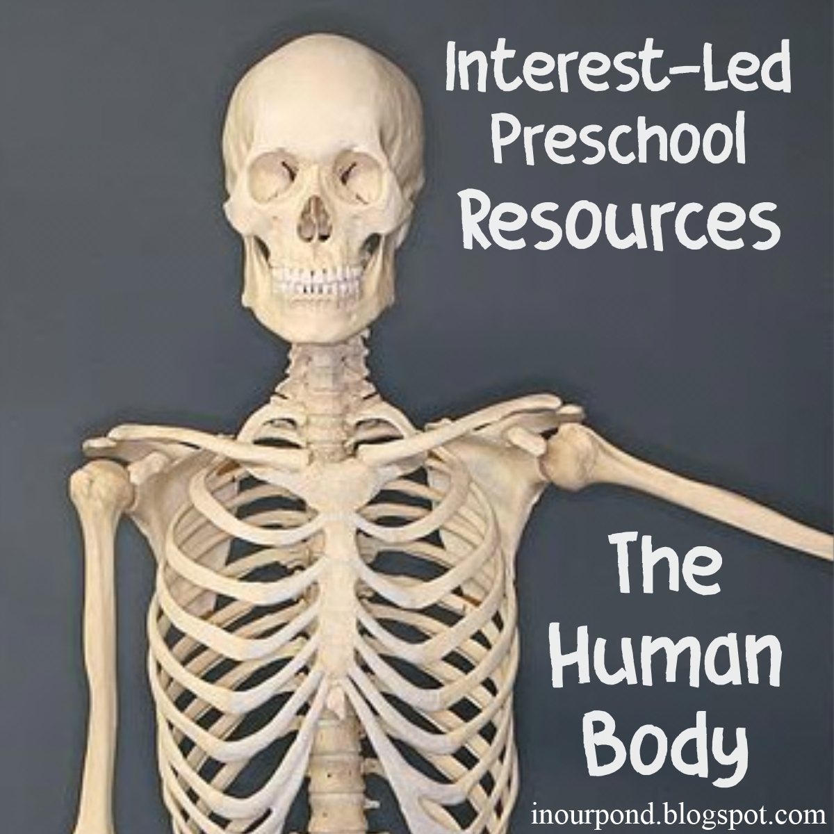 Inside A Human Body For Kids