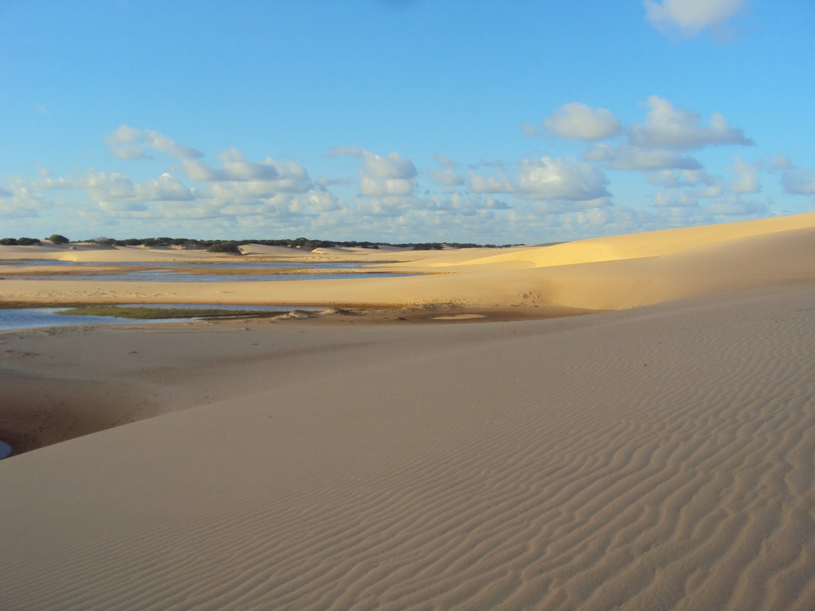 Blog da Cil Oliveira: Dicas de viagem: Alagoas - Dunas do Pontal do Peba