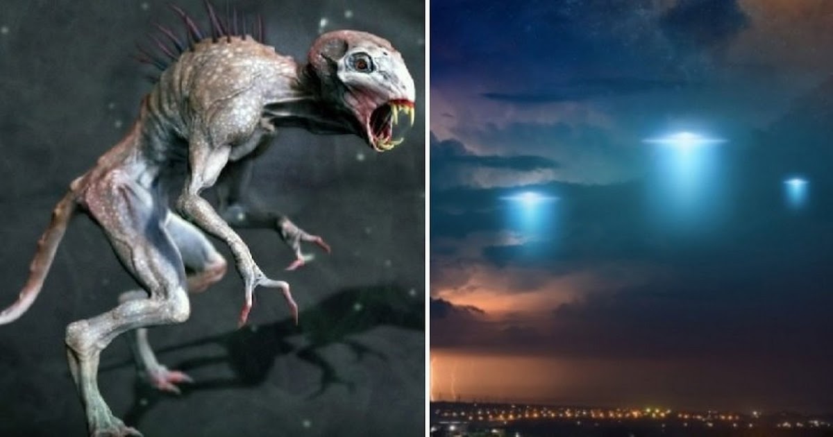 UFO Released A Chupacabra-Like Creature In A Bolivian Village UFO Released A Chupacabra-Like Creature In A Bolivian Village