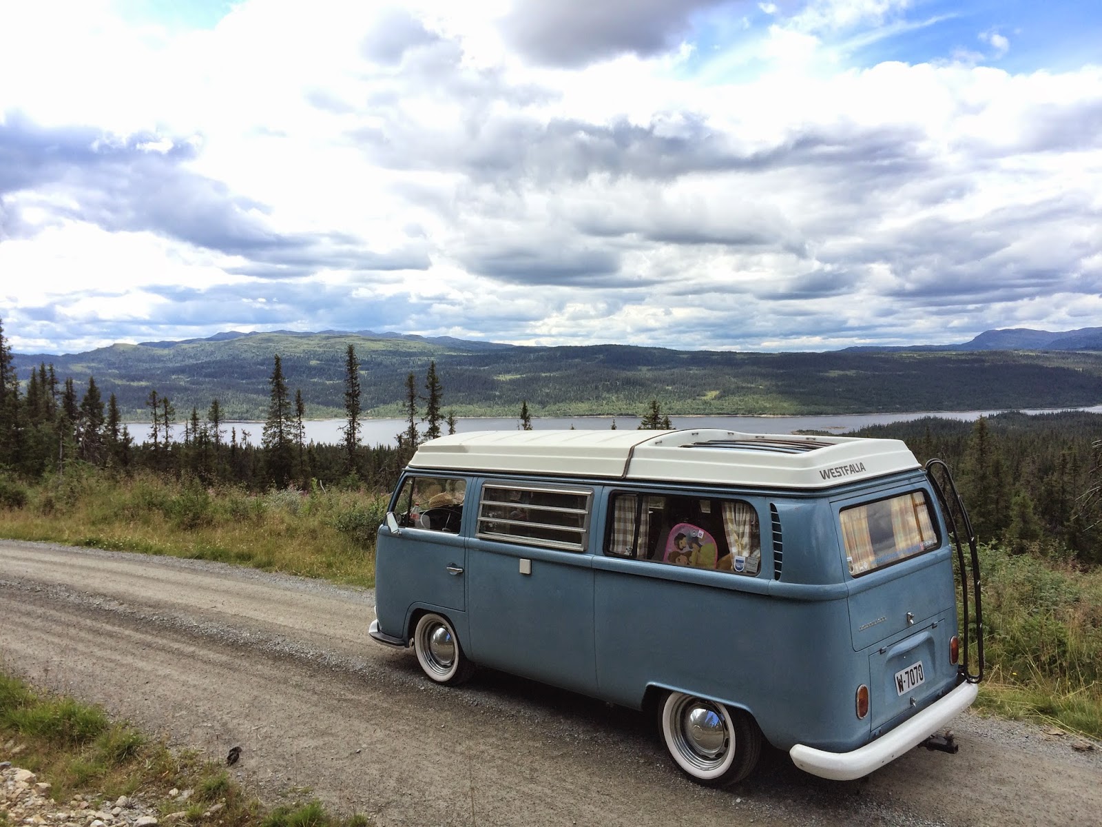 Molly - The VW Camper