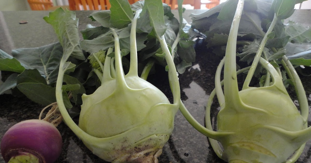 What a Healthy Family Eats: New Garden Goodness