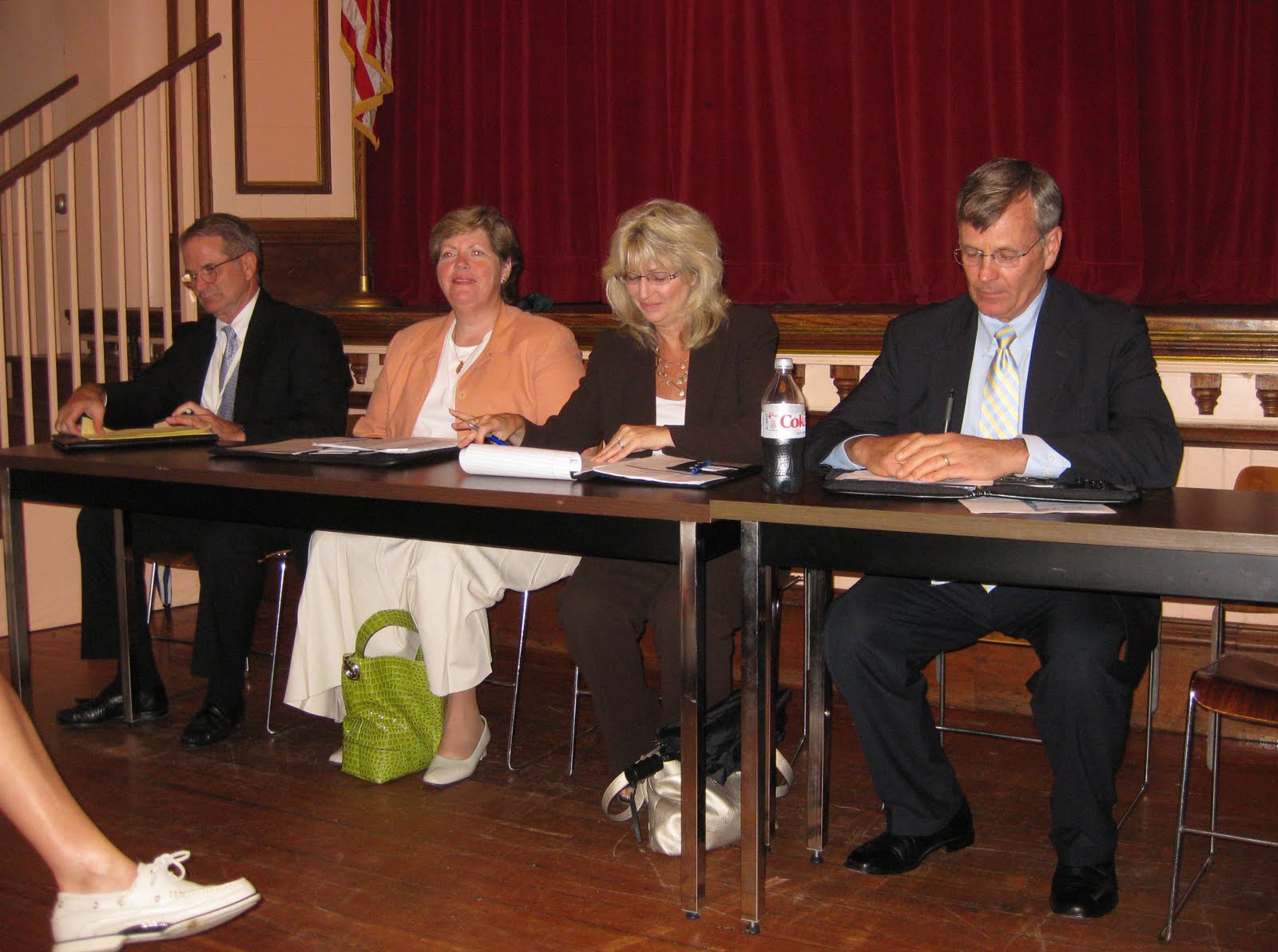 Sue's Travels: Save the Ferries