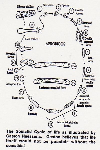 HPANWO Voice: Reginald Gill- Cancer Therapist in Trouble