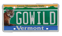 fourwhitepaws: Vermont Catamount