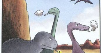 My Daily Kona: The Thagomizer