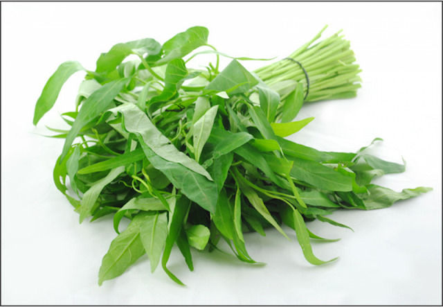 Blog Iera Azira: KHASIAT KANGKUNG