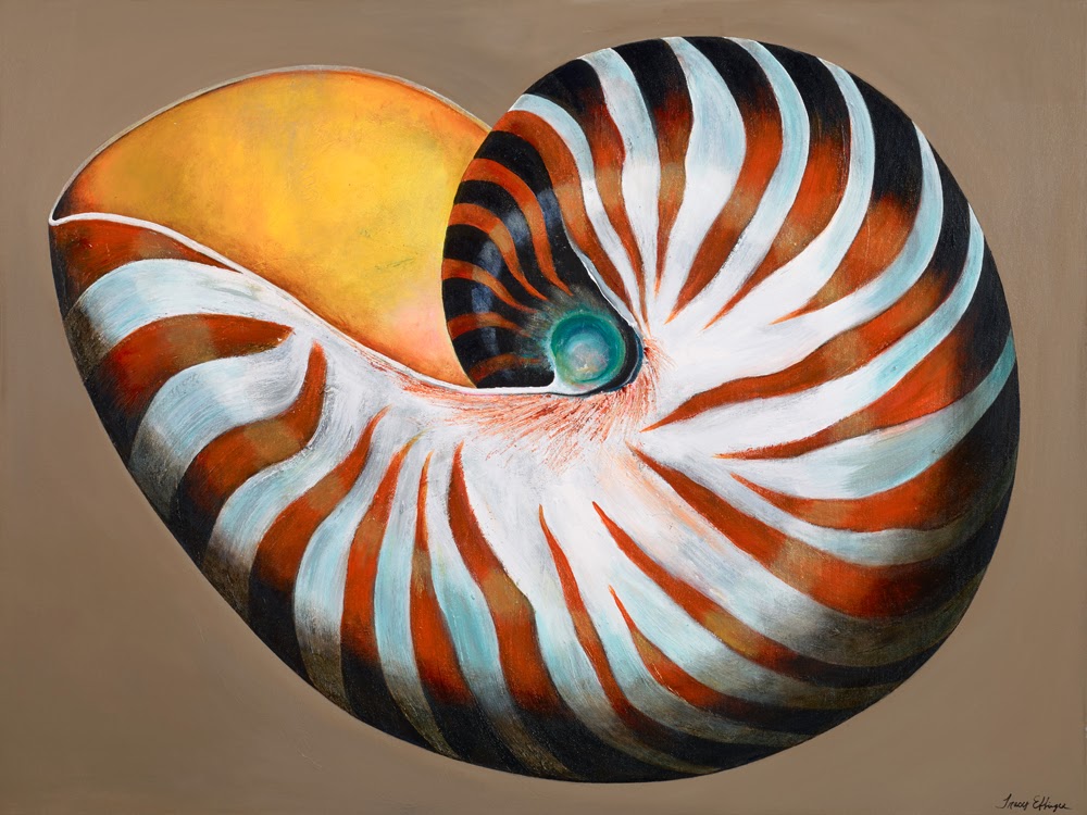 Paintings By Tracy Effinger Upton Nautilus Shell On Cappuccino Paintings By Tracy Effinger Upton Nautilus Shell On Cappuccino