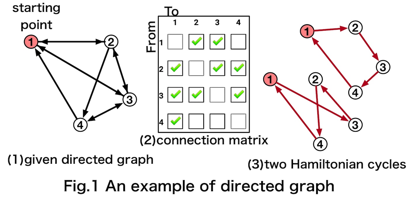 Sparse Dense By Foyo Enjoy Finding Out Hamiltonian Cycles
