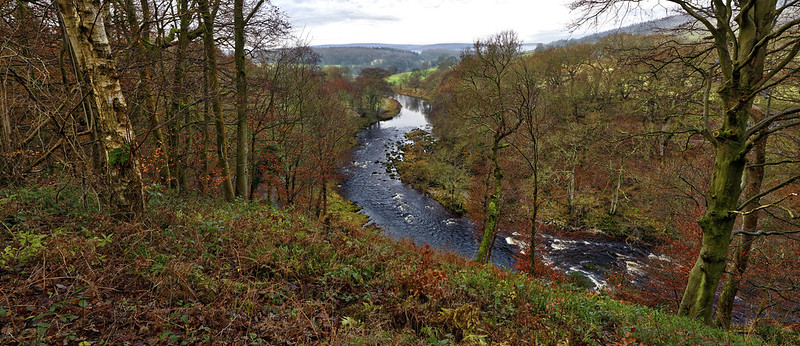 The Strid at Bolton Abbey