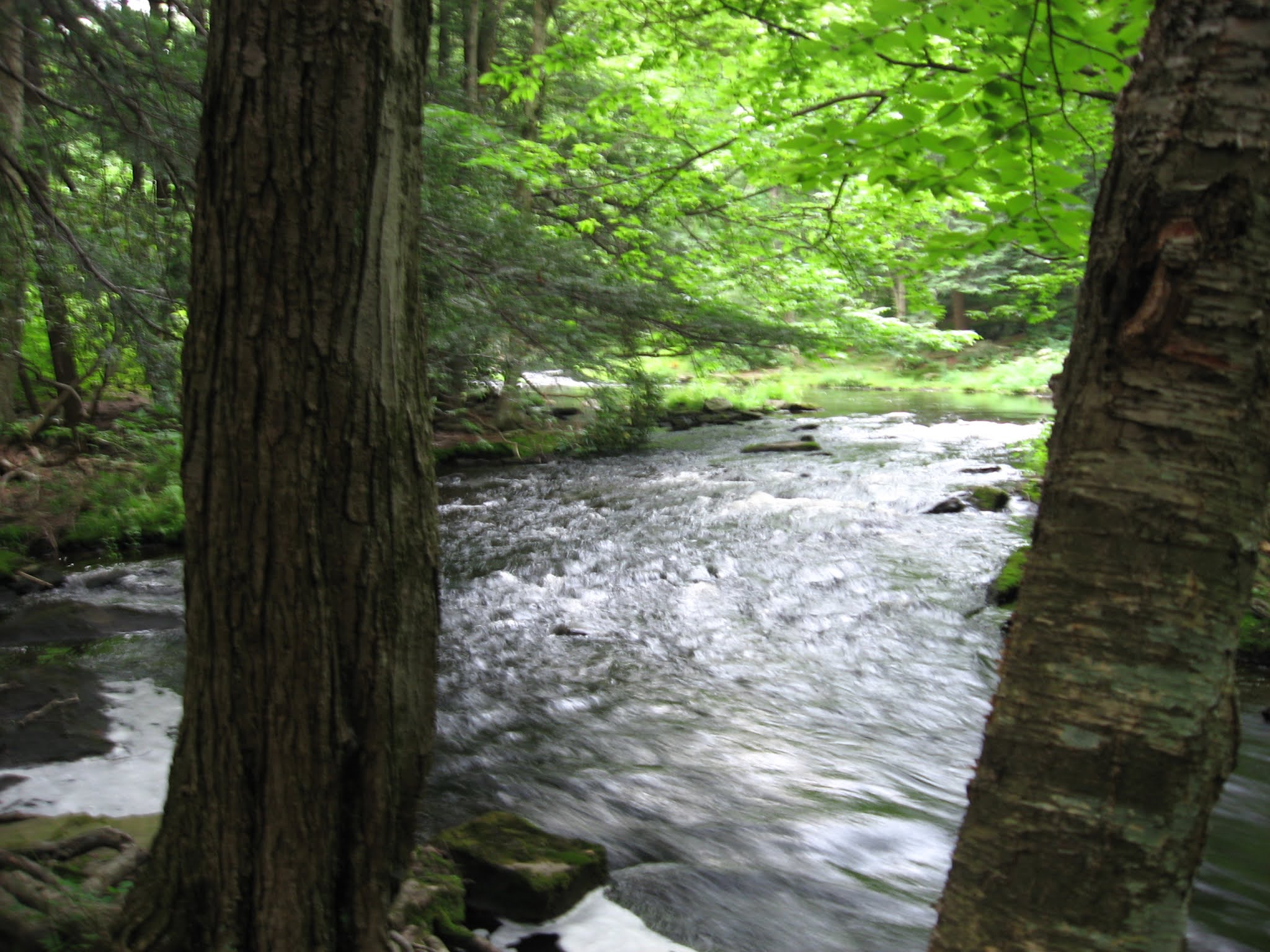 Exploring Promised Land State Park in the Poconos | Interesting ...