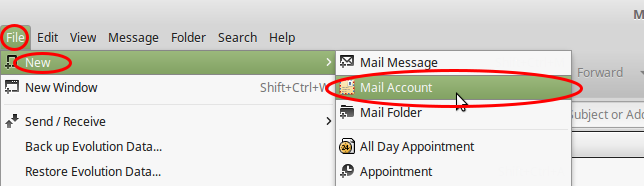 How To Setup Evolution for Gmail IMAP Account